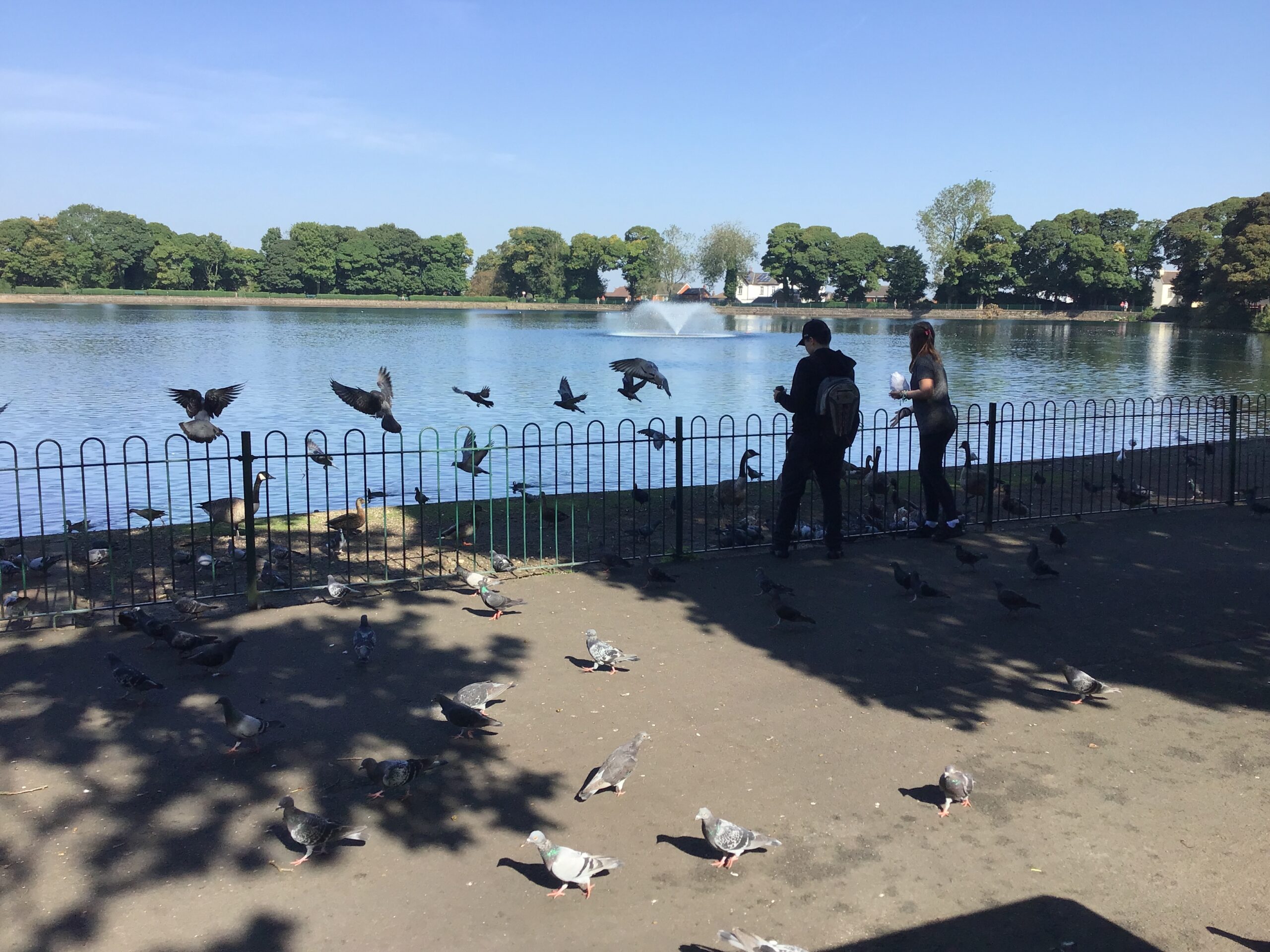 Class 9a - Sandfield Park