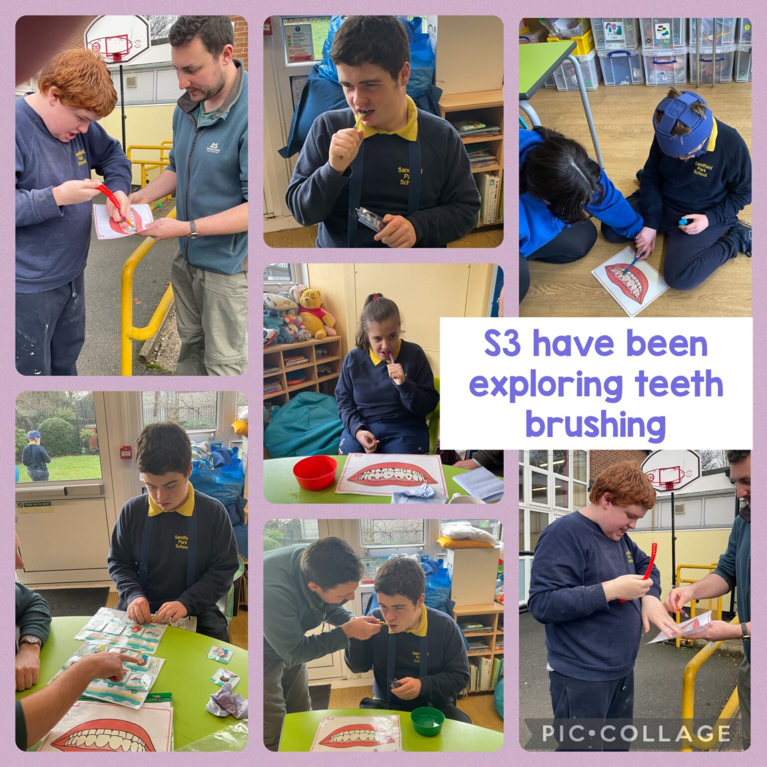 Sandfield - Sandfield Park